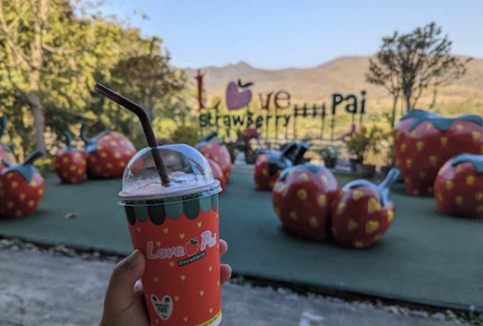 From Pai: Full-Day Private Sightseeing Tour | GetYourGuide