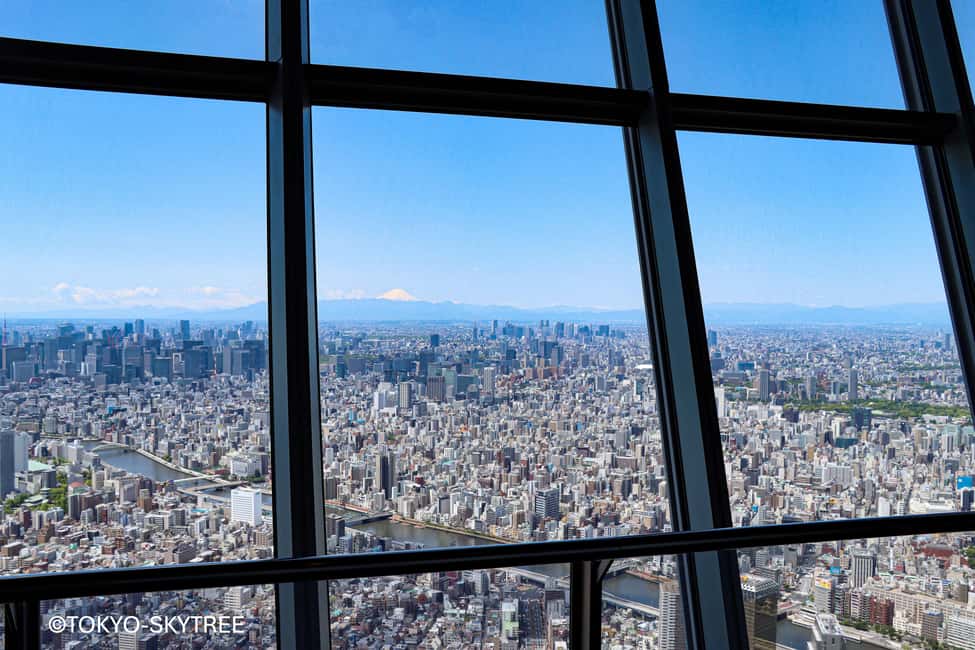 Tokyo: 1 Day Bus Tour with Meiji-Jingu,Odaiba,lunch&Skytree | GetYourGuide