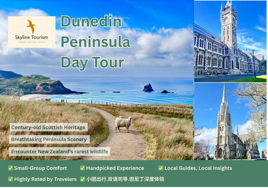 Dunedin City & Otago Peninsula Scenery Day Tour | GetYourGuide
