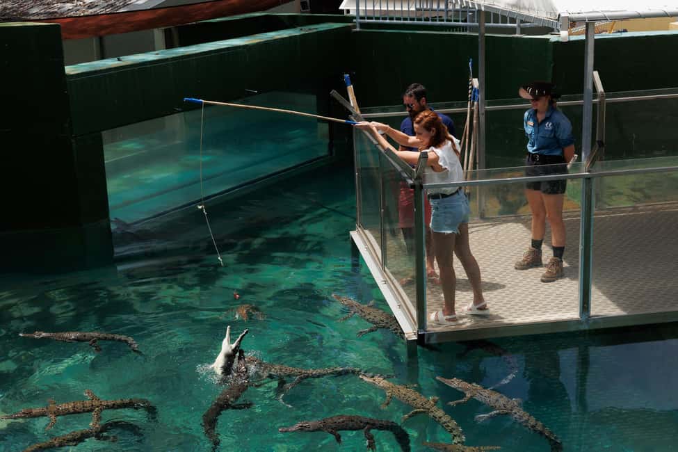 Darwin: Crocosaurus Cove Entry & Hop-on-Hop-Off Bus Tour | GetYourGuide