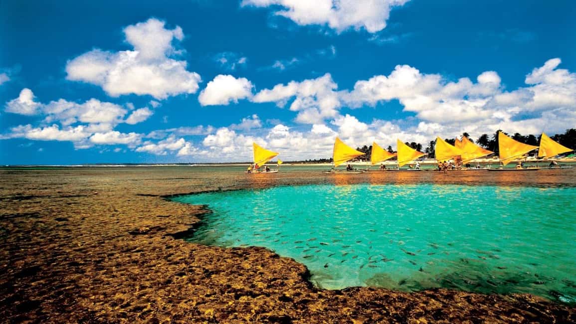 Recife: Passeio a Porto de Galinhas | GetYourGuide