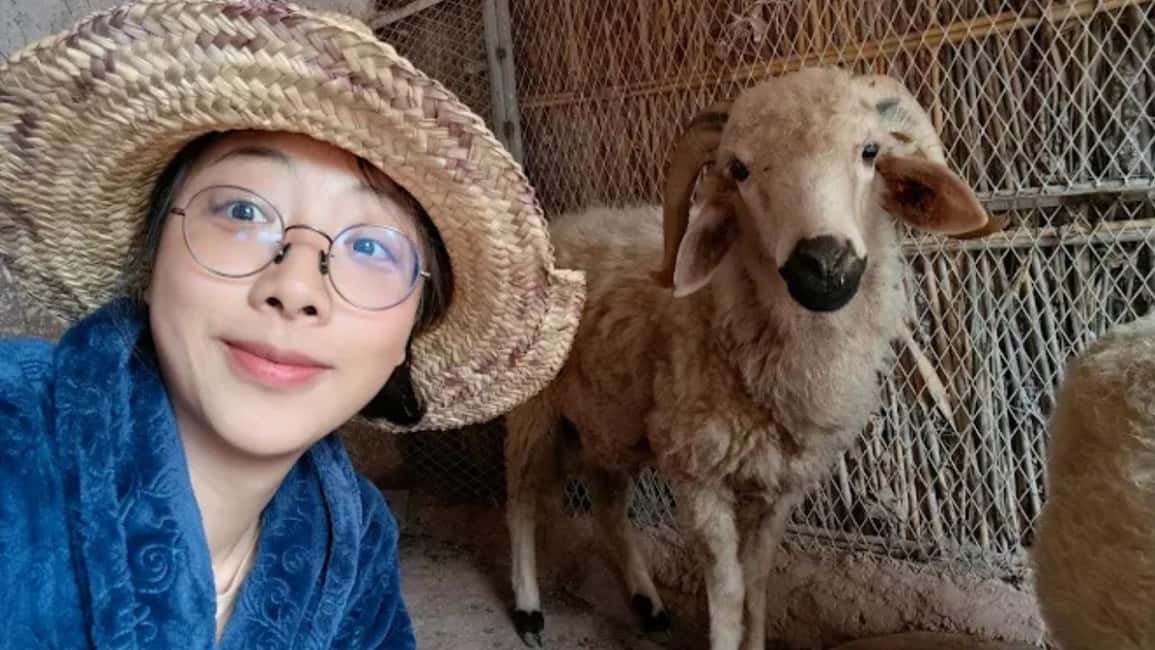 Agadir: Ecofarm Tour with Cooking Class and Lunch | GetYourGuide