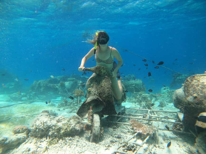 Gili Trawangan: Private Snorkeling (Coral, Statues, Turtles) | GetYourGuide