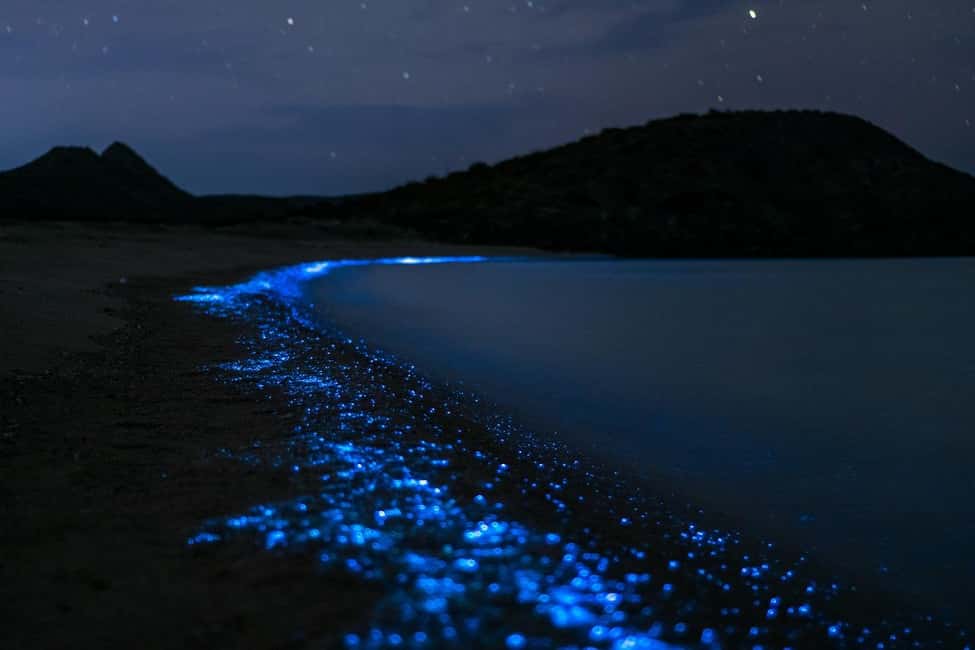 Eastsound: Orcas Island Bioluminescent Kayak Tour | GetYourGuide