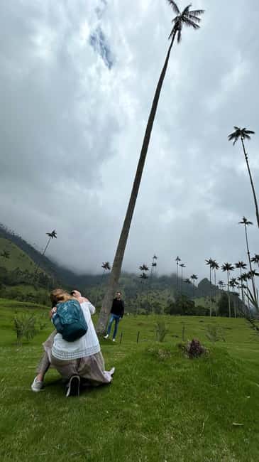 Private Tour: Cocora Valley, Filandia, and Salento | GetYourGuide