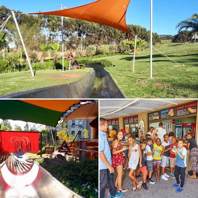 Cape Town: Cool Running/Toboggan Adventure and Hotel Pickup | GetYourGuide