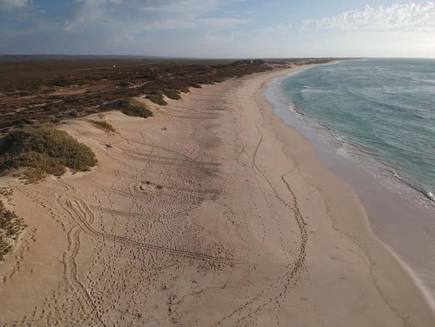 Exmouth: Summer Sunset Turtle Watching and Stargazing Tour | GetYourGuide