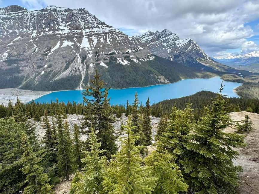 Calgary Banff: Columbia Icefield, Skywalk, and Lakes DayTour | GetYourGuide