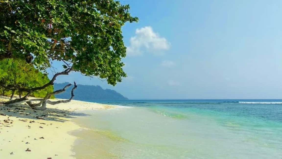 Andaman Adventure with Scuba Diving - 3 Nights 4 Days | GetYourGuide