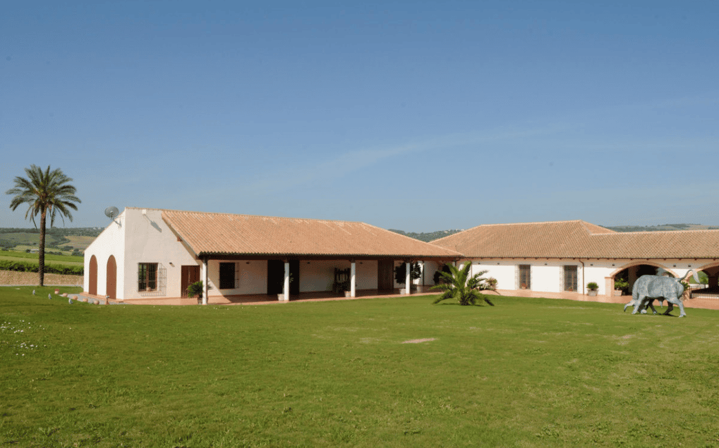 Standard Tour Huerta de Albalá | GetYourGuide