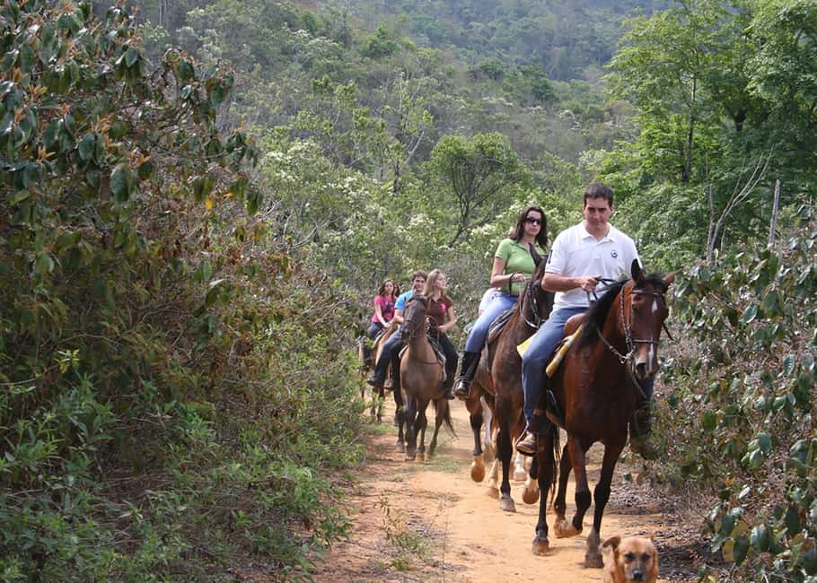 Penedo: Horseback Riding Adventure on Penedo's Trails | GetYourGuide