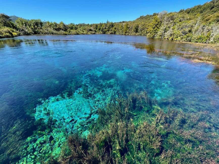 Nelson: Golden Bay in a Day Tour | GetYourGuide