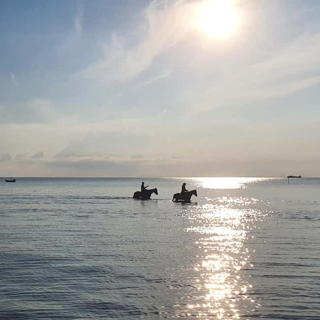 Koh Samui: Sunset Trail Horse Riding on The Beach | GetYourGuide
