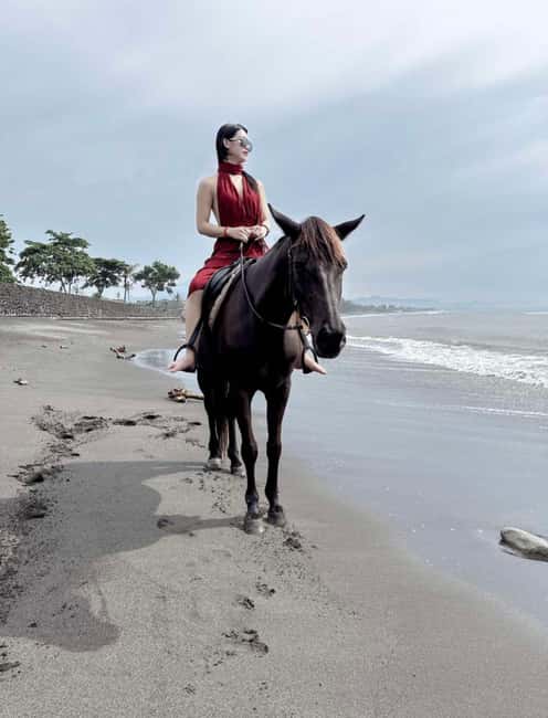 Bali Horse ride at Saba beach Horse tour | GetYourGuide