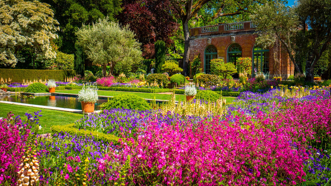 Woodside: Filoli Historic House and Garden Entry Ticket | GetYourGuide