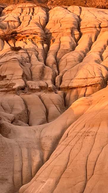 Day of Dinosaurs and Hoodoos From Calgary to the Badlands | GetYourGuide