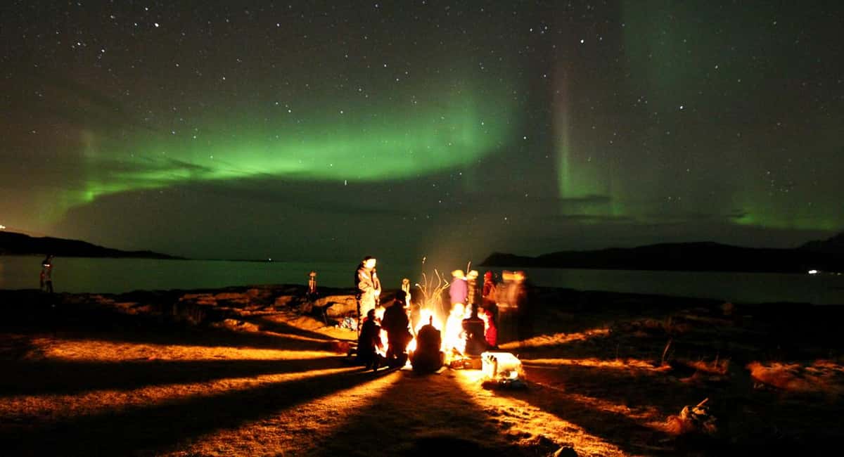 Tromsø: Northern Lights Chase with Local Guide | GetYourGuide