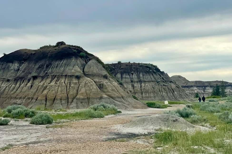 Day of Dinosaurs and Hoodoos From Calgary to the Badlands | GetYourGuide