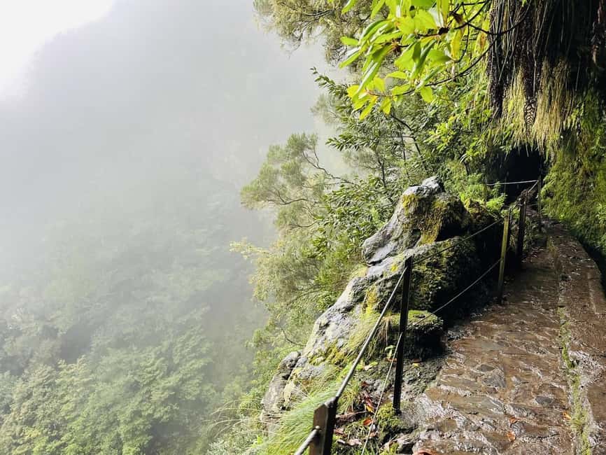 Madeira: PR 9 - Levada do Caldeirão Verde Hike Transfer | GetYourGuide