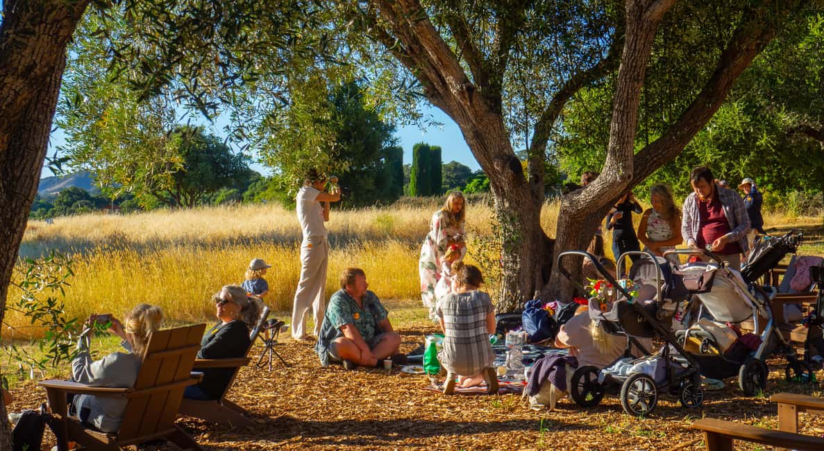 Woodside: Filoli Historic House and Garden Entry Ticket | GetYourGuide