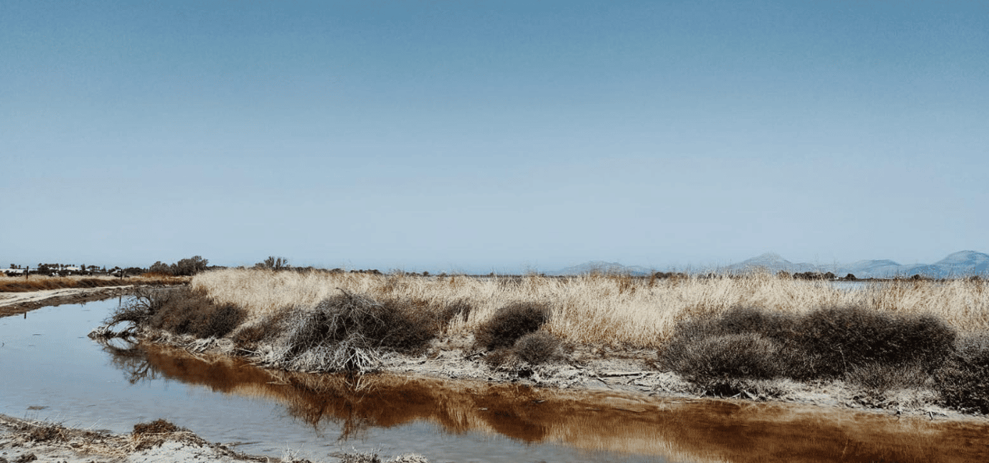 Kos: Guided Jeep or Quad Off-Road Tour with Drinks and Lunch | GetYourGuide