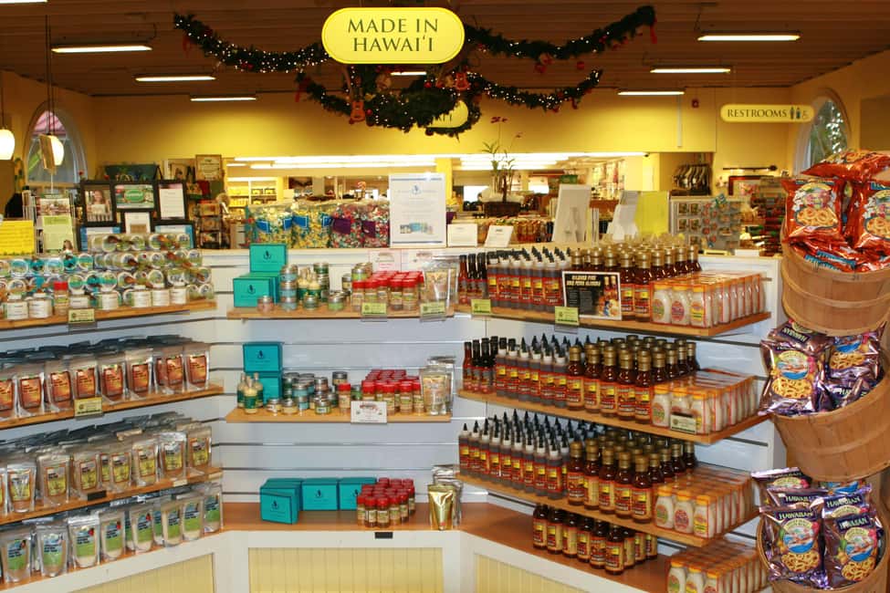 Oahu: Circle Island Tour with Lunch & Waimea Waterfall | GetYourGuide