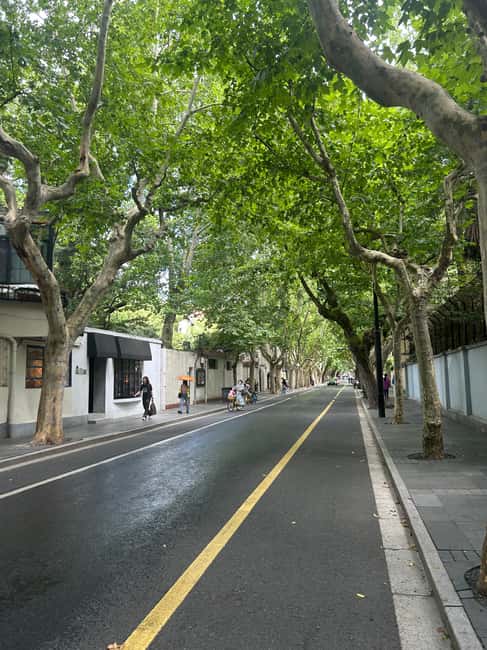 Shanghai: French Concession Jogging and Walking Tour | GetYourGuide
