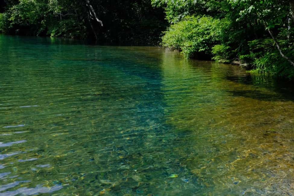 Soukromá prohlídka: Skryté jezero Nagano a město Ghibli s fotografickým ...