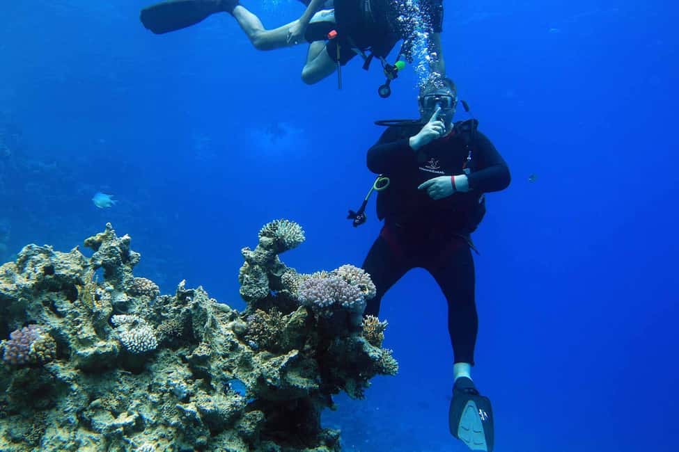 From Sharm: Ras Muhammed & White Island By Boat & intro Dive | GetYourGuide