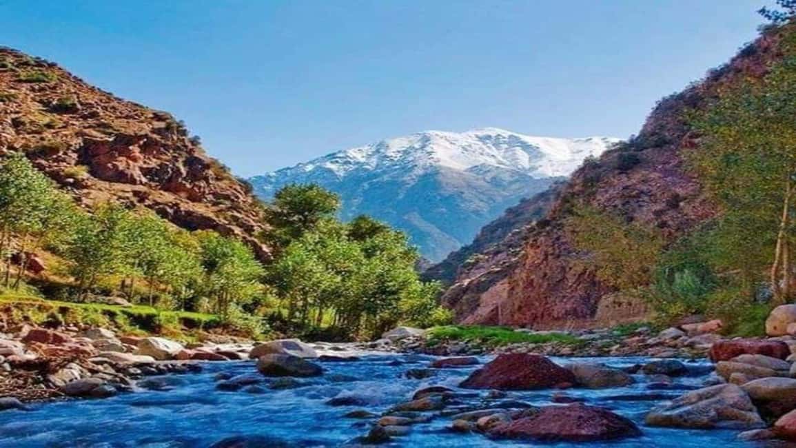 Marrakech: Atlas Mountains Ourika Valley & lunche and guide | GetYourGuide