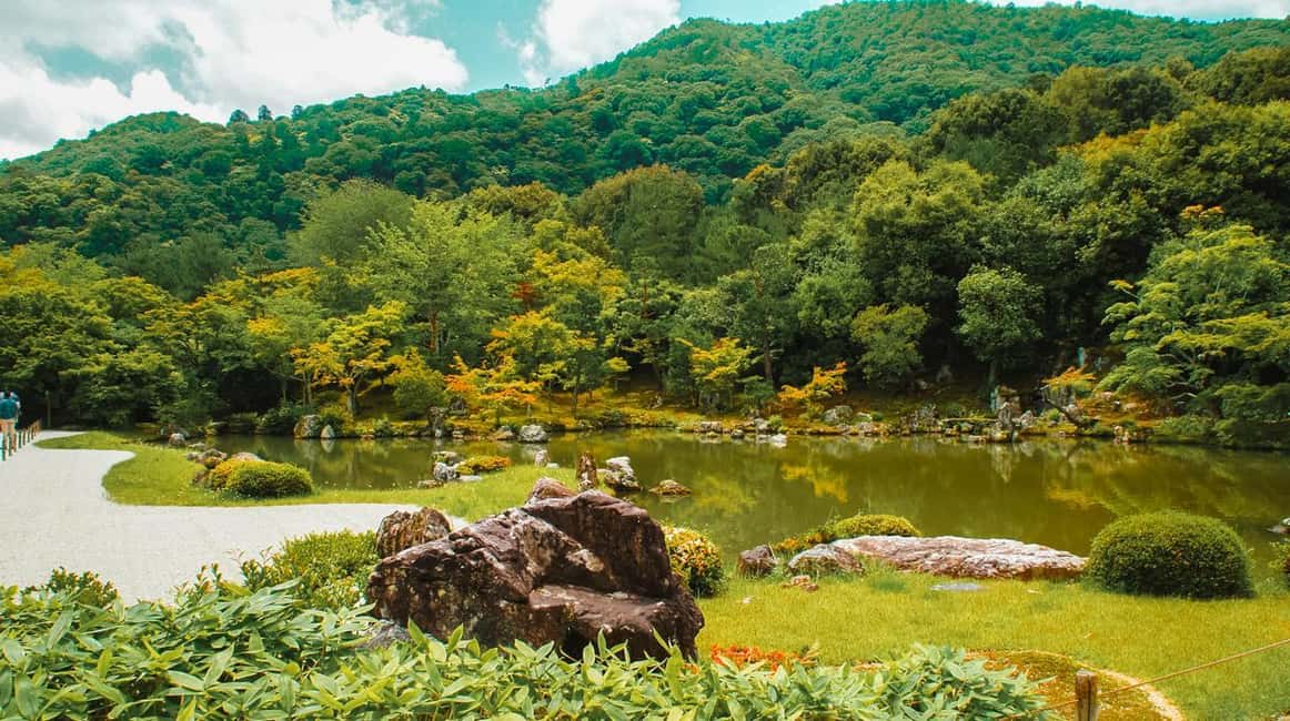 Kyoto: Arashiyama Bamboo, Monkeys, Matcha & UNESCO Temple | GetYourGuide