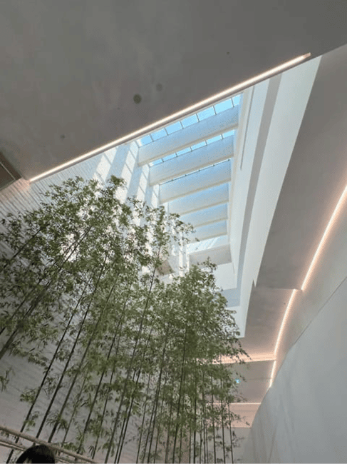 Da Seul: Escursione di un giorno a Yeongdong con degustazione di vini e ...