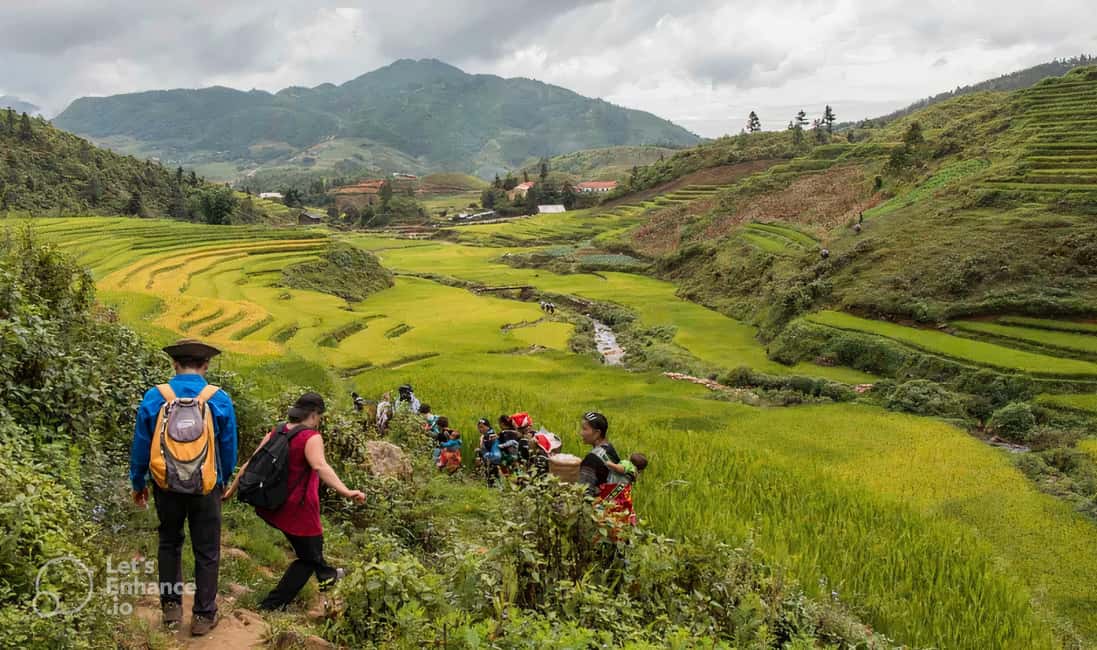 1-Day Sapa Long Trek - Rice Field Terrace, Ethnic Culture | GetYourGuide