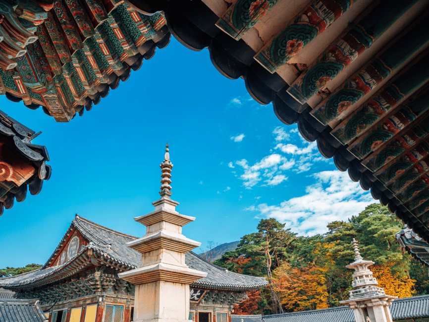 Gyeongju: Depart Busan UNESCO Legacy Tour with Night View | GetYourGuide