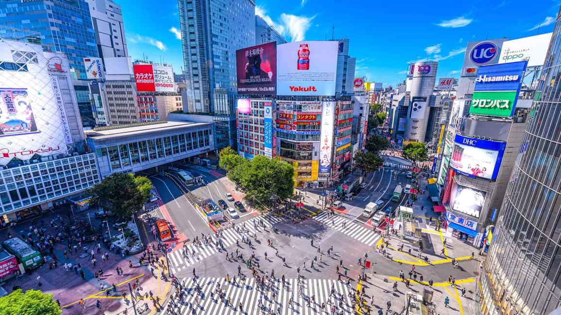 Shinjuku: Tokyo in High Definition - Walking Tour | GetYourGuide