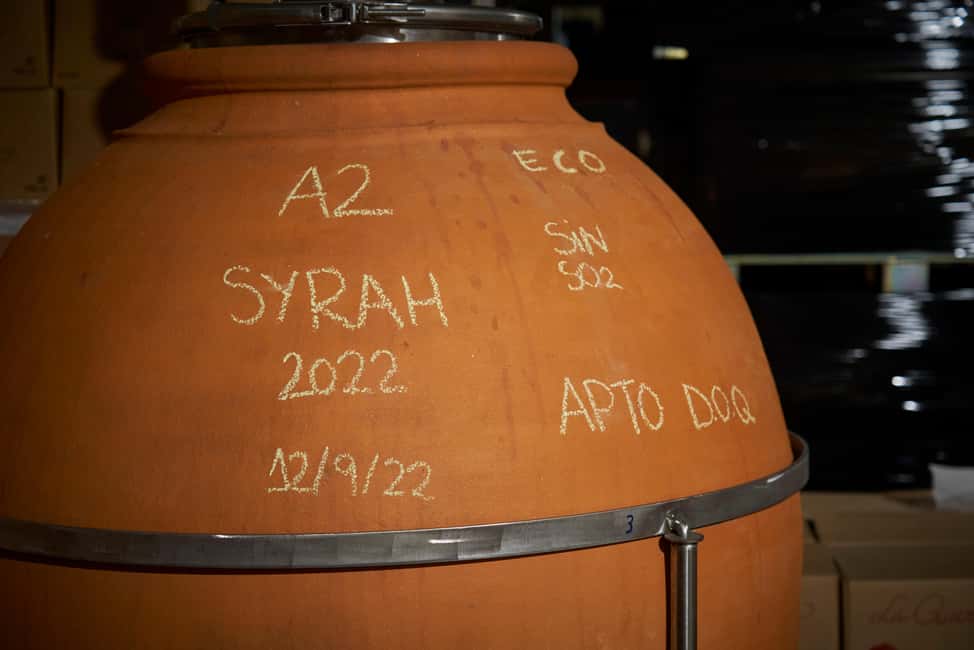 Priorat: wine tour in Gratallops of the best natural wines | GetYourGuide