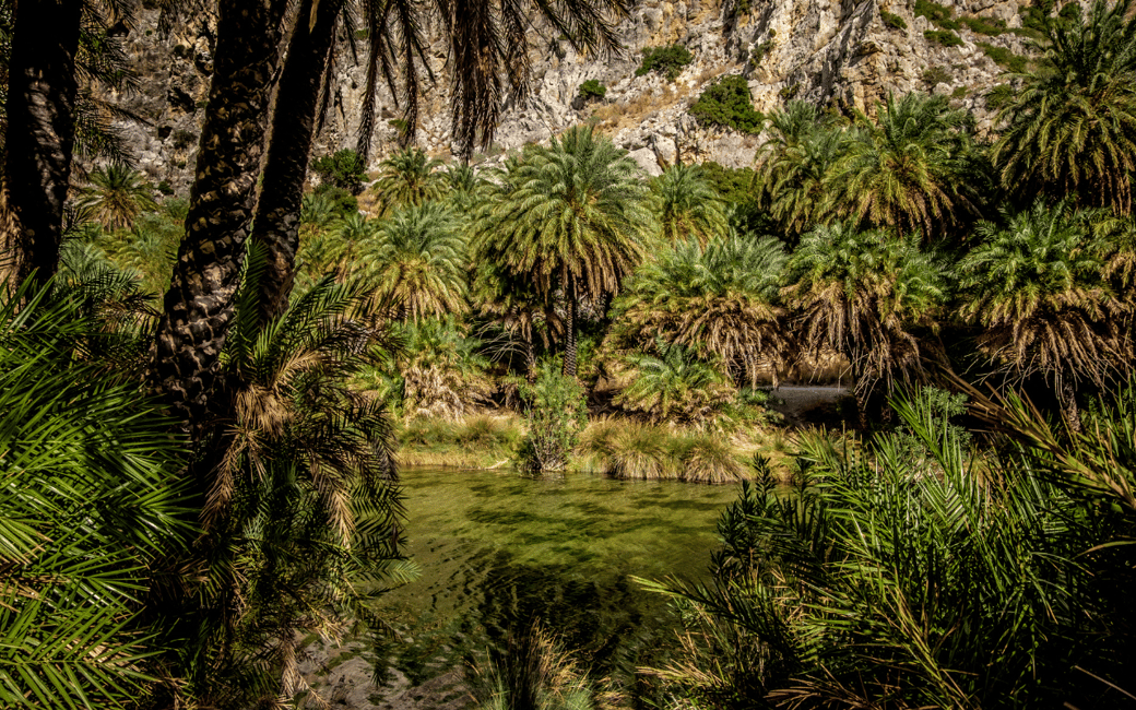 From Rethymno: Exotic Preveli Palms, Damnioni & Plakia Beach | GetYourGuide