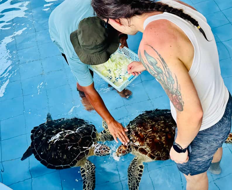 Bali: Nusa Penida: Turtle Conservation, Massive Cave Temple | GetYourGuide