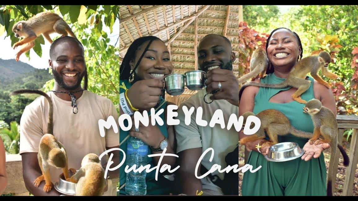 Punta Cana: Wycieczka półdniowa do Monkeyland dla małych grup | GetYourGuide