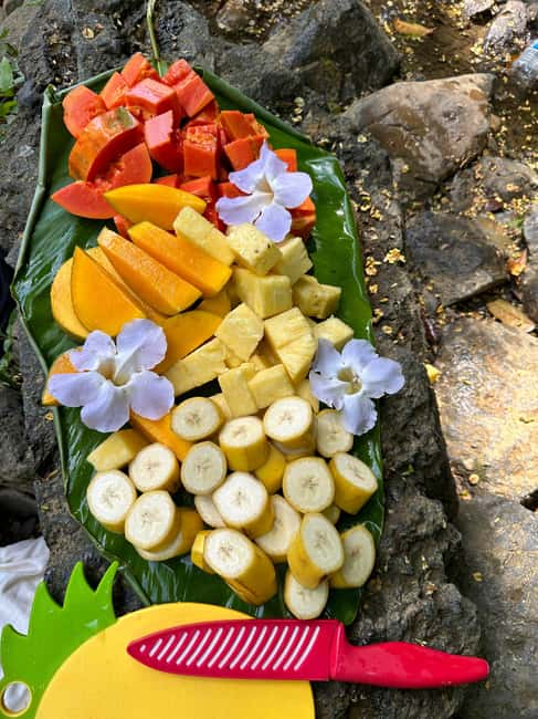 Small-Group El Yunque Rainforest Tour with Transport | GetYourGuide