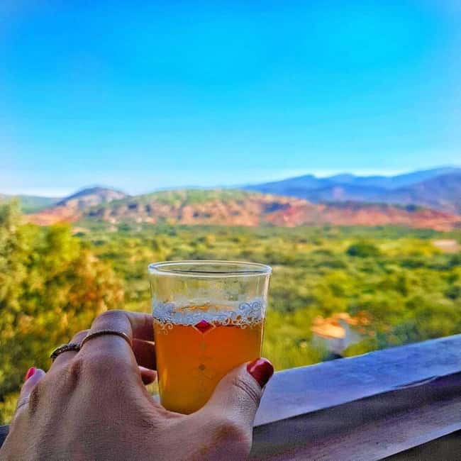 Marrakech to Ourika Valley-Scenic Day Tour Lunch & Waterfal | GetYourGuide