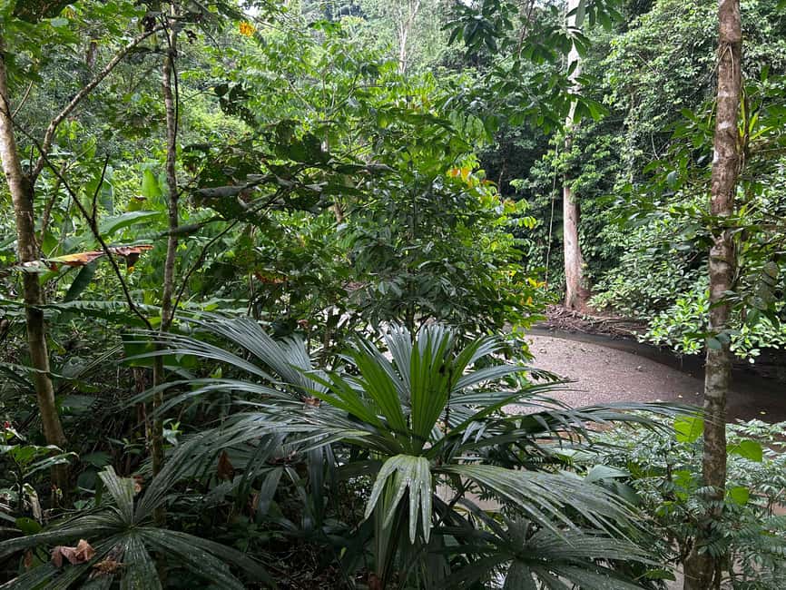 Tour al atardecer en Drake Bay | GetYourGuide