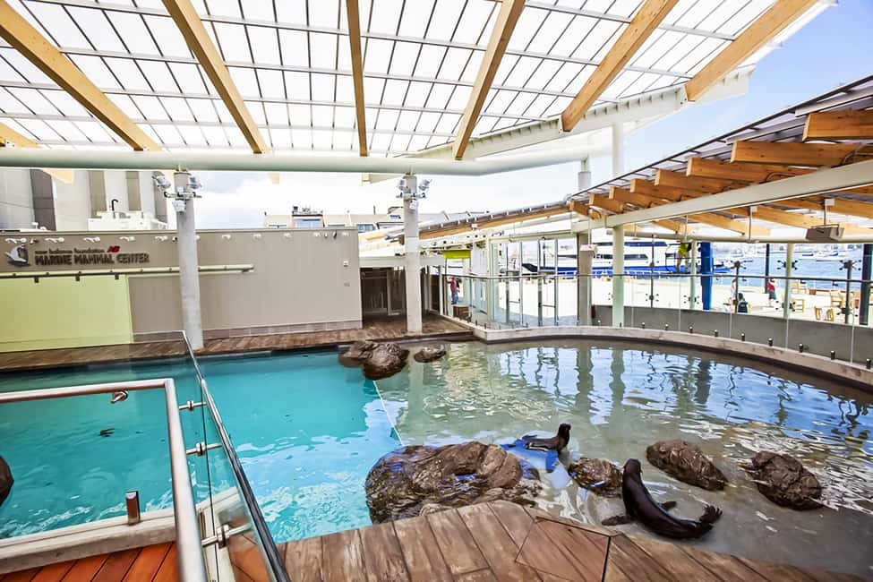 Boston: New England Aquarium Entry + Optional Simons Theatre | GetYourGuide