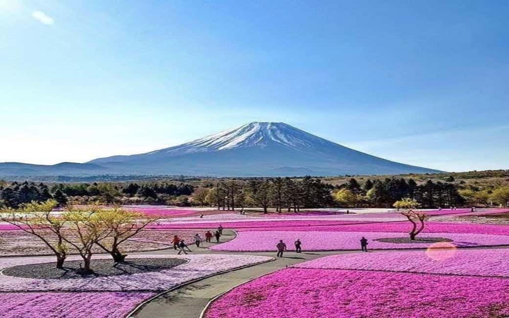 Tokio: Mount Fuji en Hakone privé sightseeingtour per dag | GetYourGuide