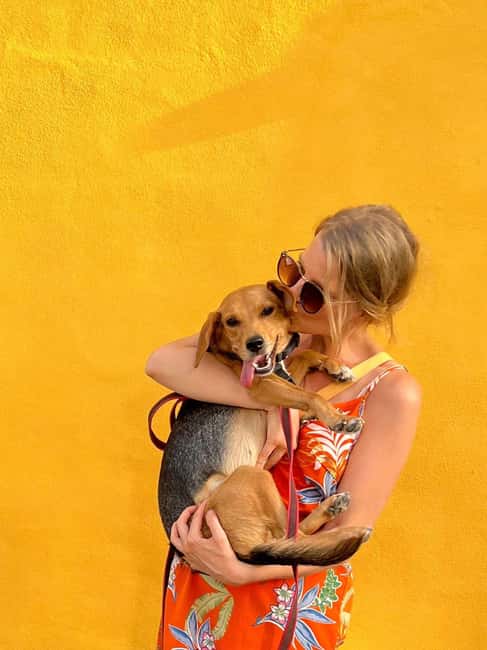 Lisbon: Belém Walking Tour with Dog Lilly & Guide Annie | GetYourGuide