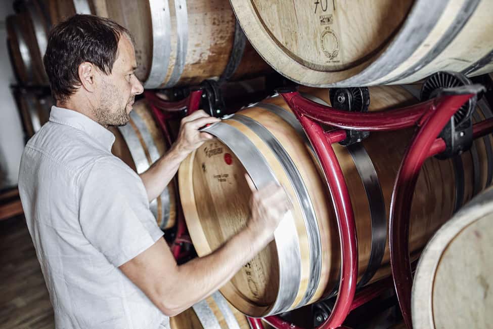 Bolzano: Loacker Wine Experience with Tasting | GetYourGuide