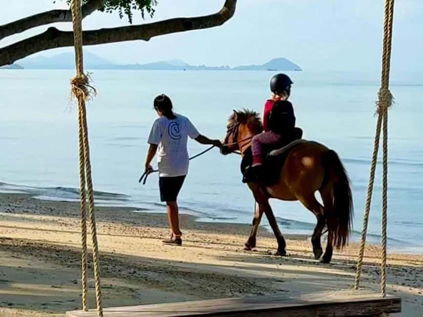Koh Samui: Sunset Trail Horse Riding on The Beach | GetYourGuide