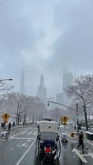 NYC: Empire State Horses Carriage Ride in Central Park | GetYourGuide