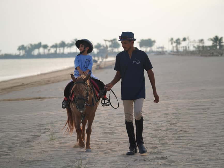 Al Mirfa: Forest Horseback Riding Adventure | GetYourGuide