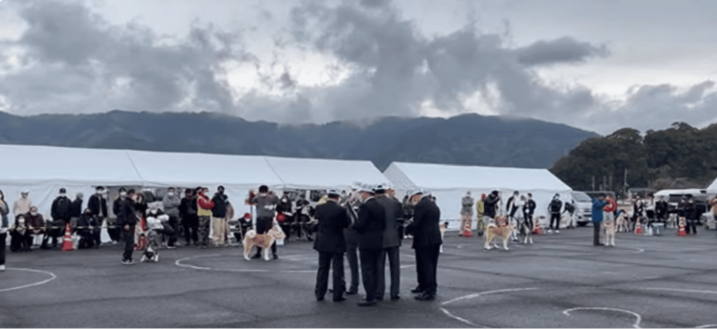 Akita: AKITA DOG DAY! A day tour by public transport | GetYourGuide